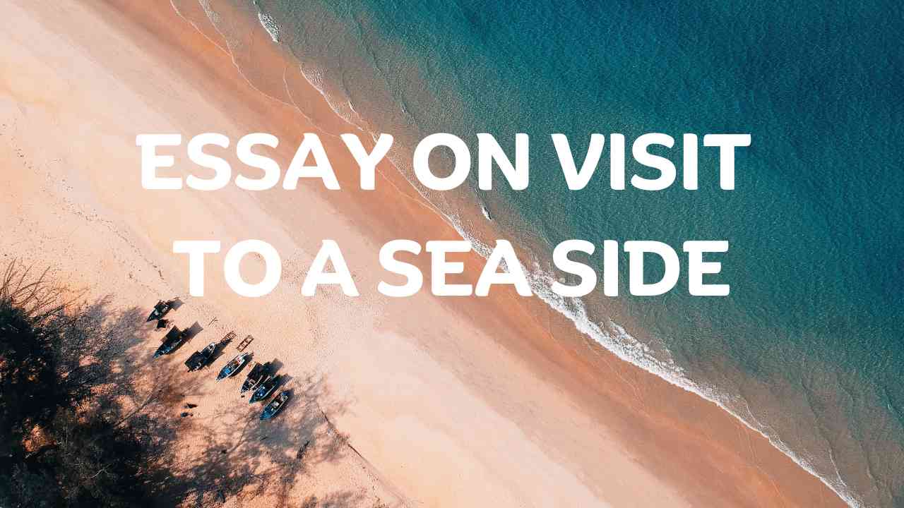 Essay On Visit To A Sea Side In English - 200, 300, 500 Words