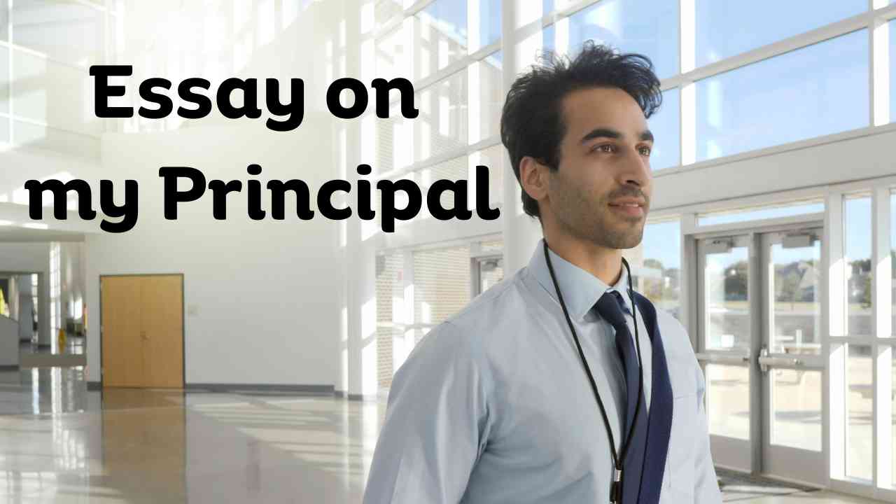 Essay on My Principal For Students ( Latest 2023 )